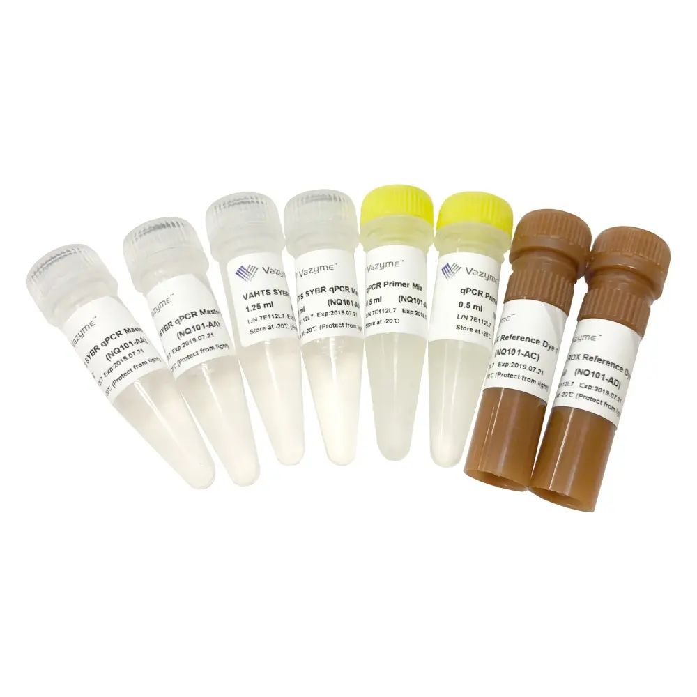 Bacterial Dna Extraction Kit