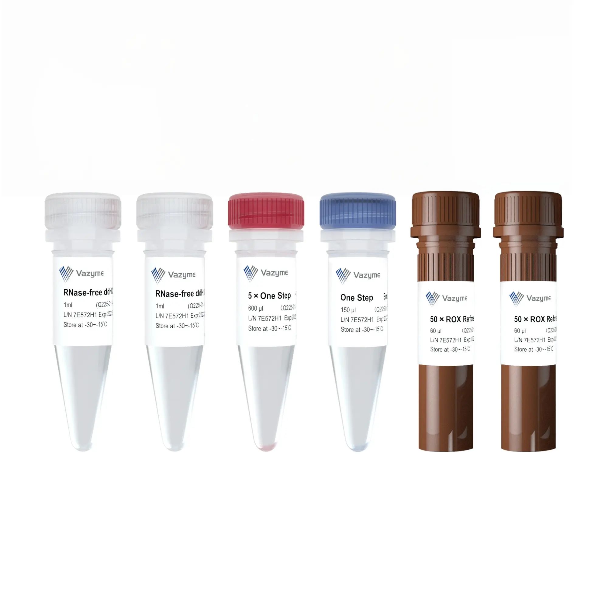 Real-Time Pcr (Qpcr)