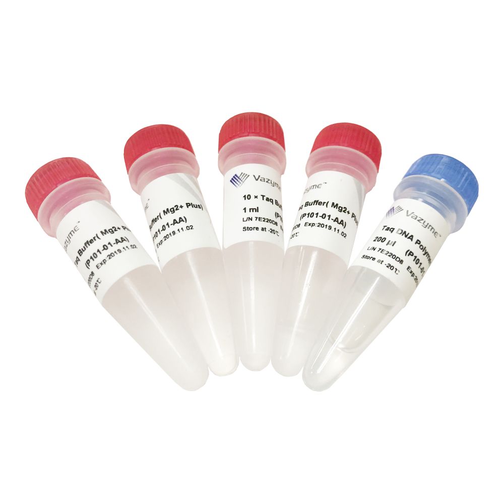 Best Taq Polymerase Pcr
