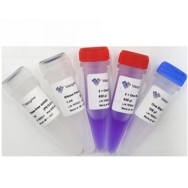 One-Step Rt-Pcr Product