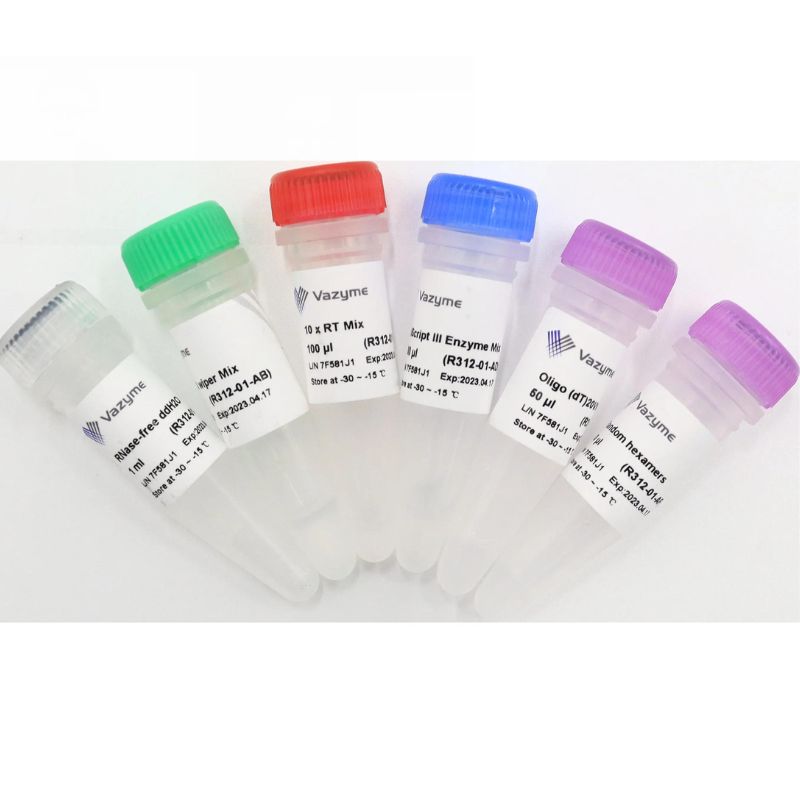 Synthesis Of The 1st Strand Cdna Suppliers
