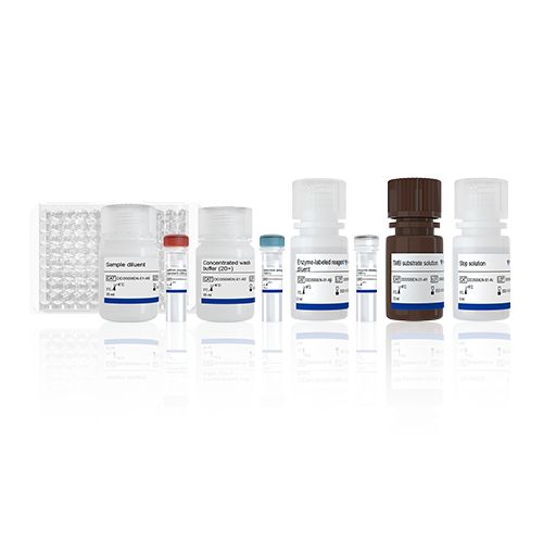 Dsrna Kit